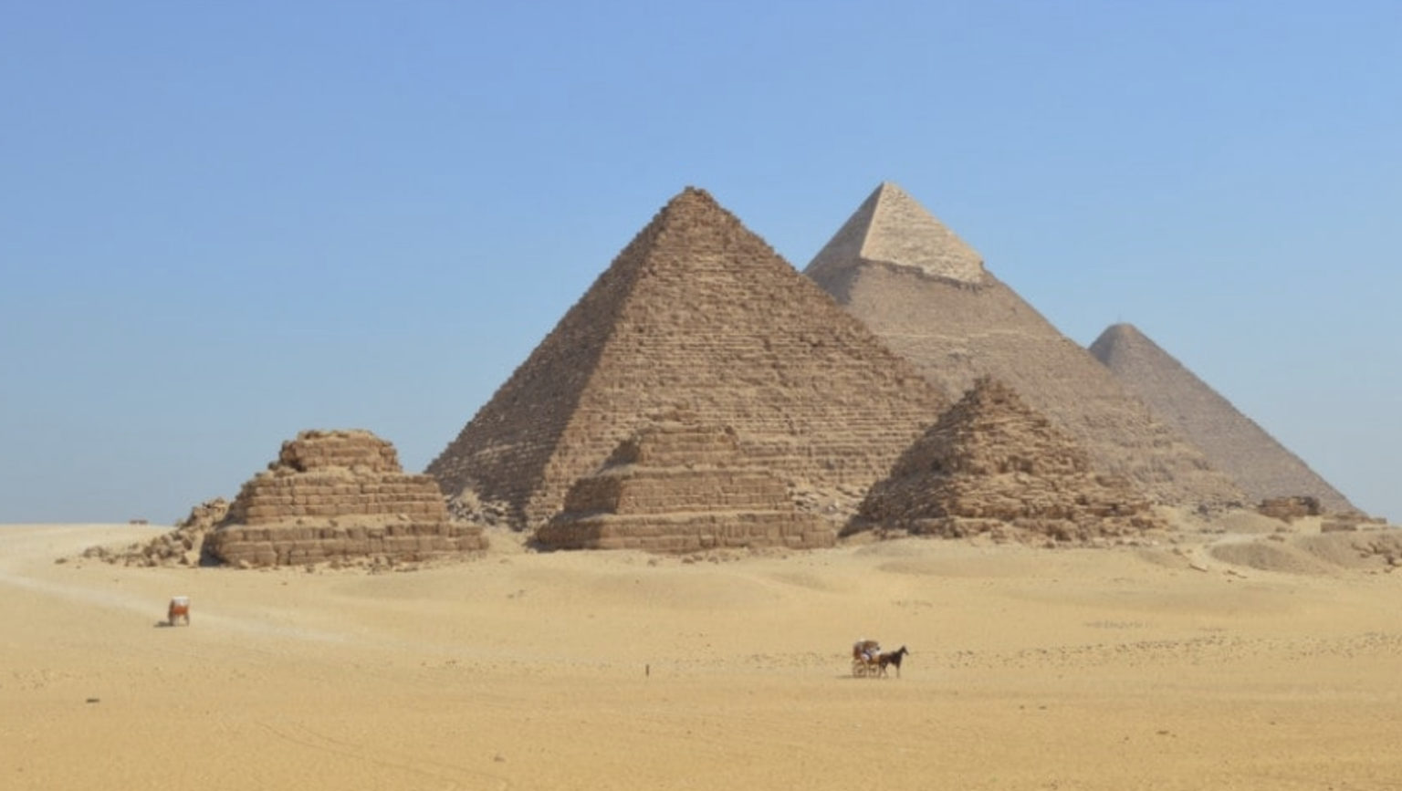 Cilët janë elementët më të zakonshëm në trupin e njeriut? – bota.al